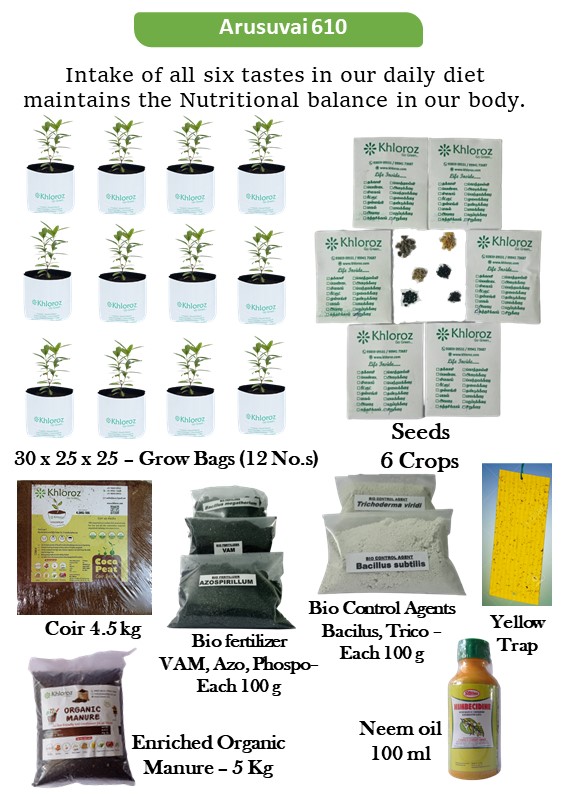 Arusuvai Garden Kit – 2 – khloroz