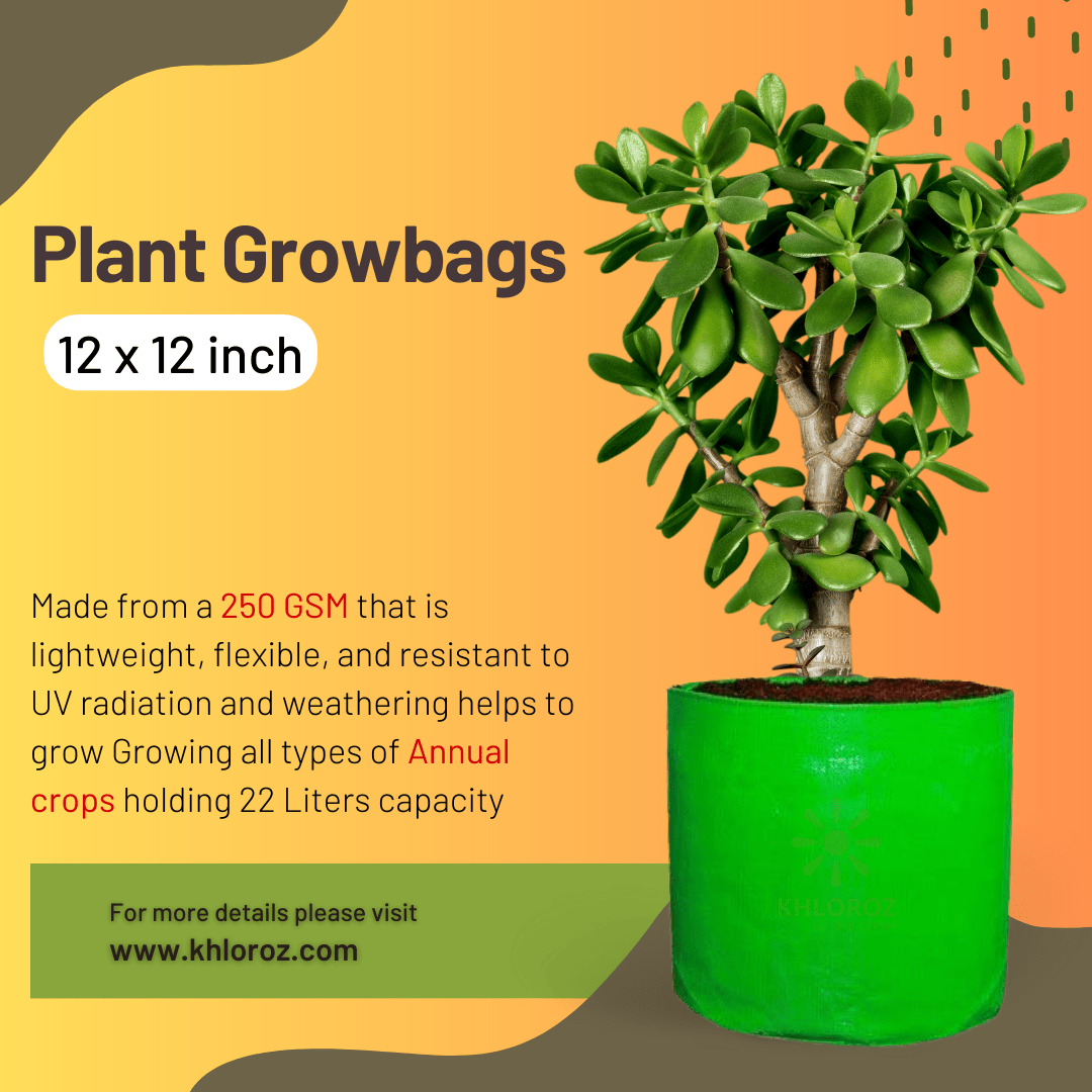 Khloroz Annuals Growbag HDPE 12 x 12 inch 250 GSM – khloroz