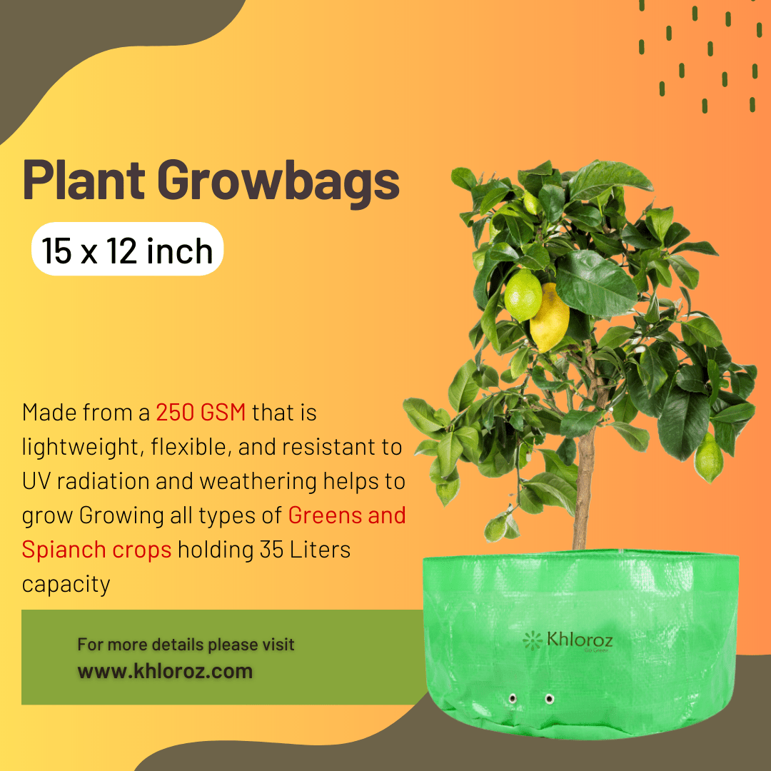 Khloroz Growbag HDPE 15 x 12 inch 250 GSM – khloroz
