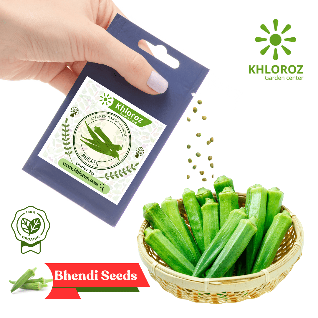 Khloroz Vegetable seeds Bhendi/Okra – khloroz