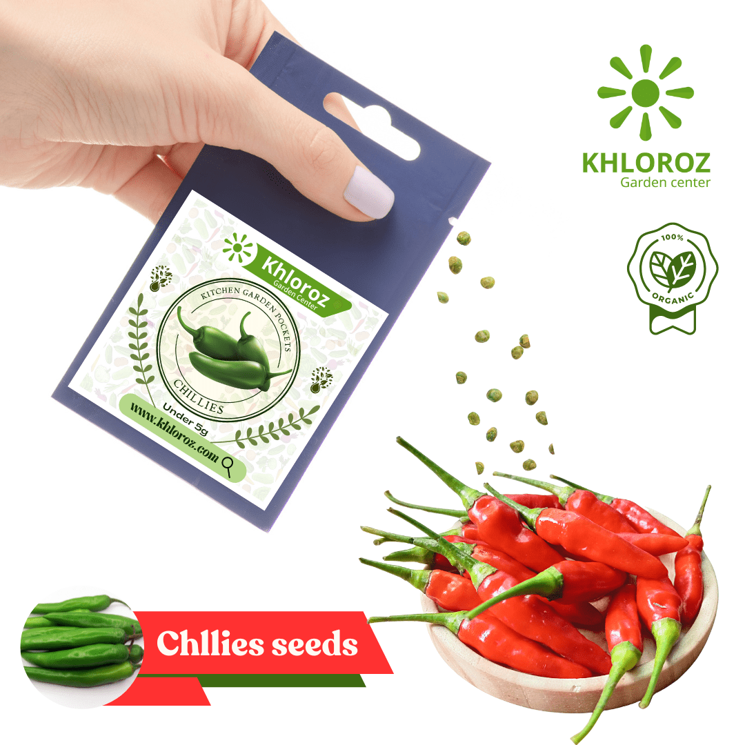 Khloroz Vegetable seeds chillies – khloroz