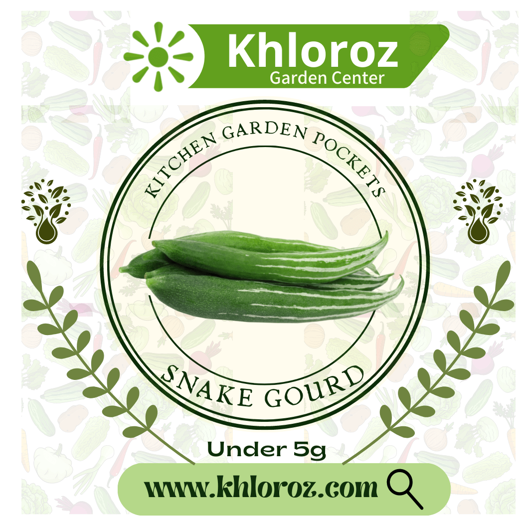 Khloroz Vegetable seeds Snake Gourd – khloroz
