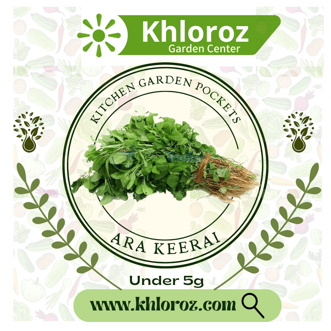 Khloroz Vegetable seeds Spleen Amaranthus – khloroz