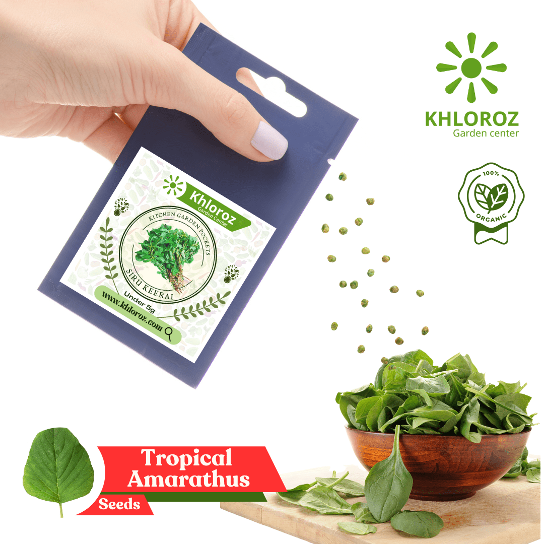Khloroz Vegetable seeds Tropical Amaranthus – khloroz
