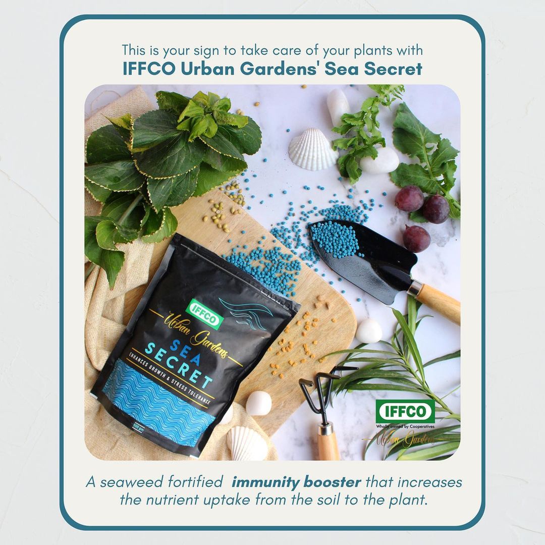 Sea Secret | Organic Seaweed Extract | Slow Release Granules | 500g x 4 | Best for Urban ...