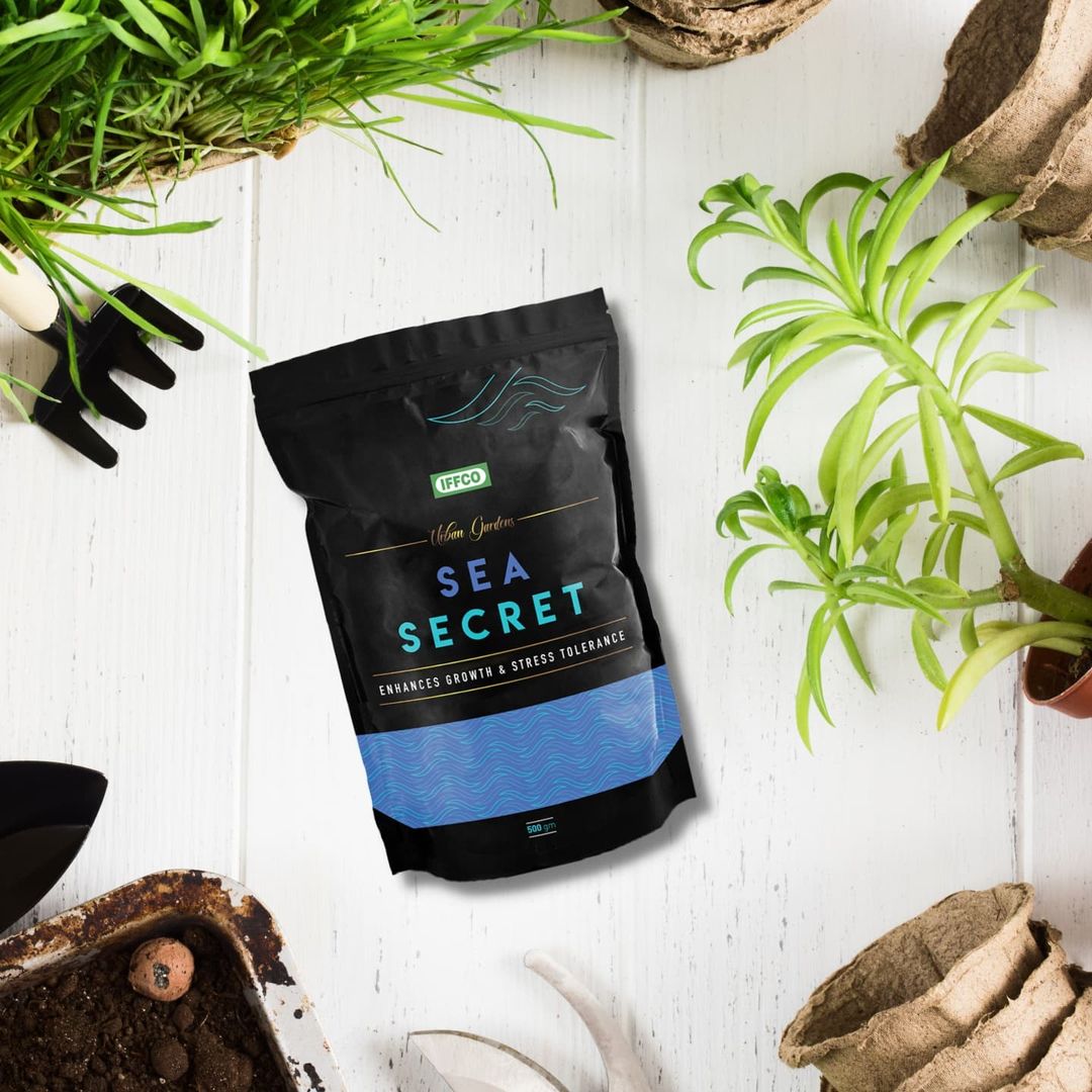 Sea Secret | Organic Seaweed Extract | Slow Release Granules | 500g x 4 | Best for Urban ...