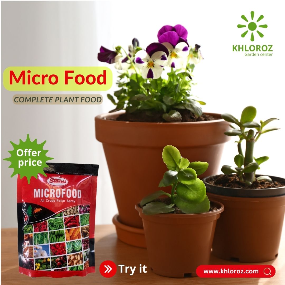 Stanes Microfood Powder 250g – khloroz
